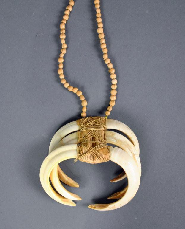 251: BOARS TUSK NECKLACE - PAPUA NEW GUINEA