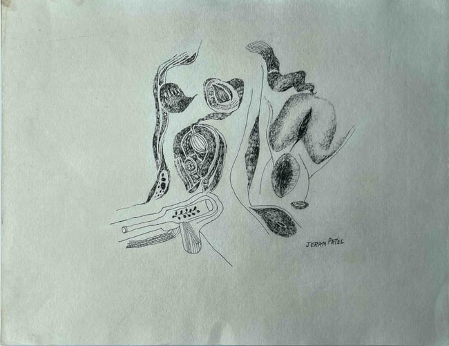 Jeram Patel (1930–2016) | Untitled | Ink And Water Colour Painting Ink ...