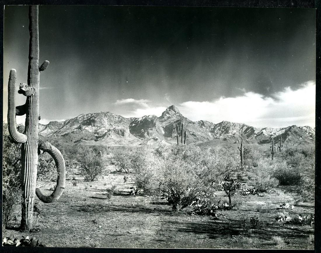 Ray Manley: Baboquivari Peak Arizona - Mar 31, 2020 | Gaynor's Fine ...