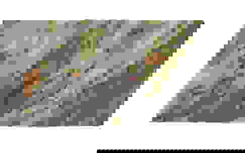 Wolfgang Kubach & Anna Wilmsen Auction