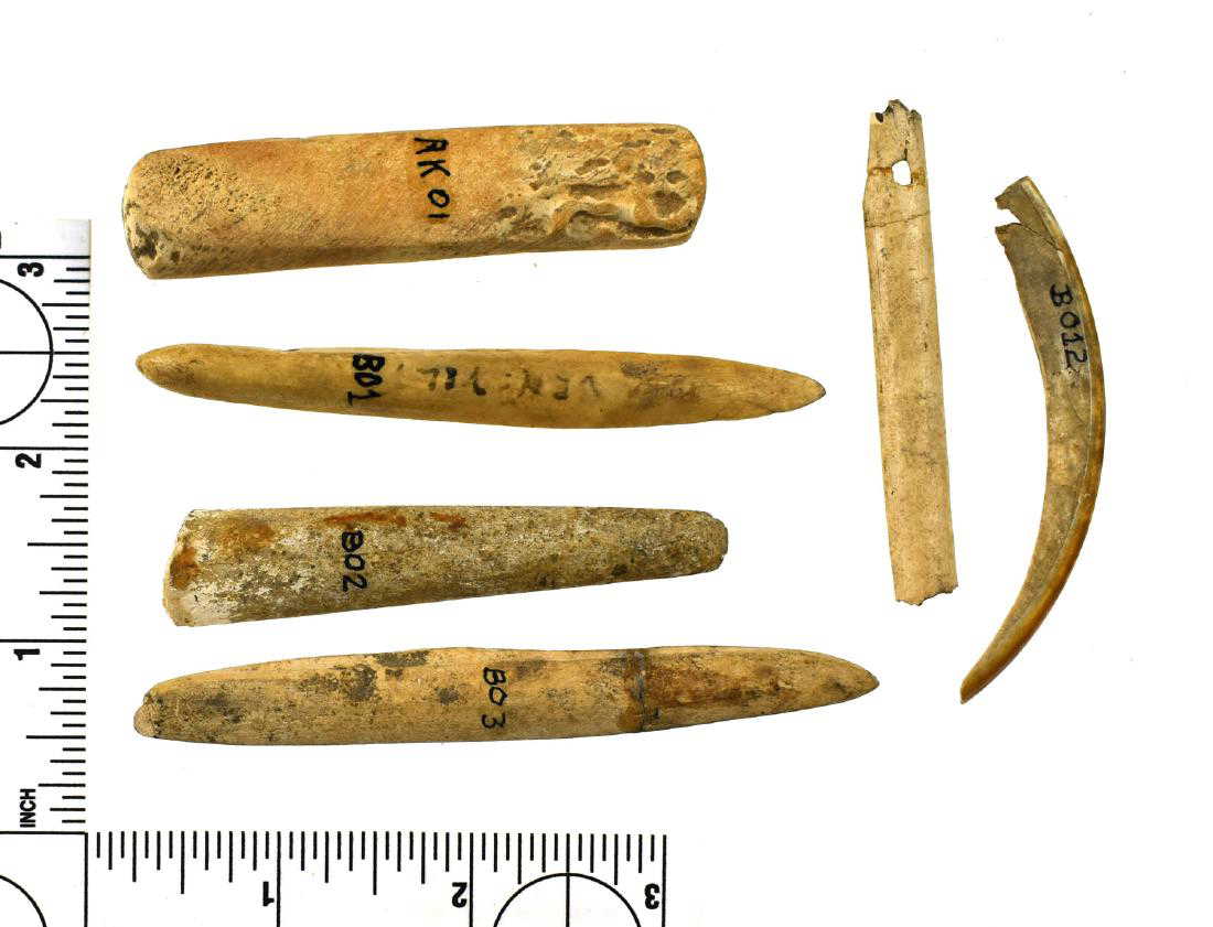 Fort Ancient Bone Artifacts