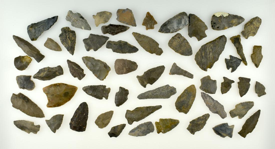 1lb of Kentucky Arrowheads