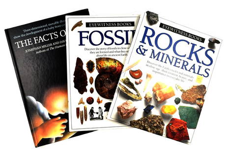 Rocks, Minerals & Fossils Prices - 9 Auction Price Results