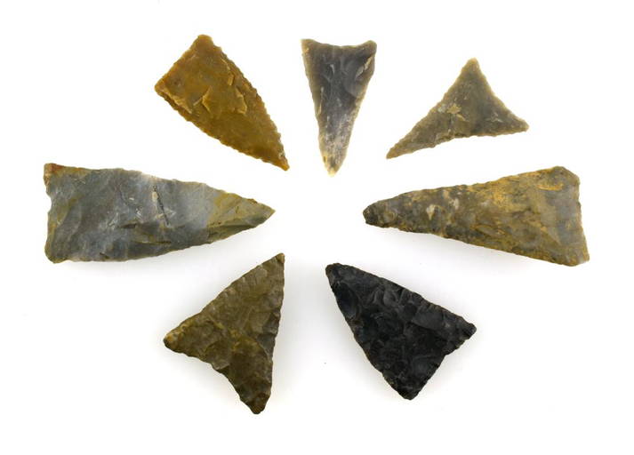 7 Nice Kentucky Triangles