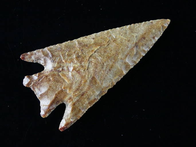 2 5/16" G 10+ Elko Corner Notch