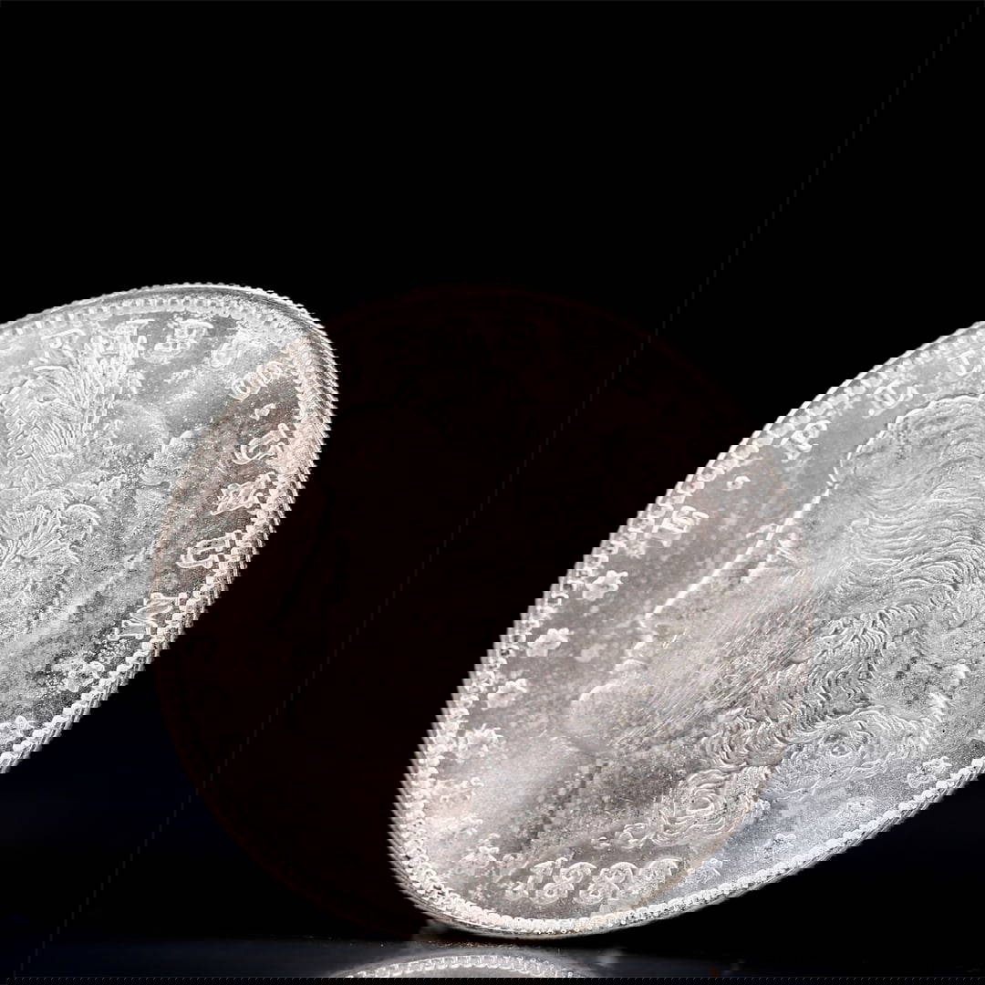 Usa Morgan Dollar 1889 Coin Auction