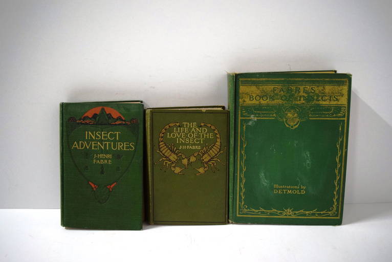 Insect Adventures By J. Henri Fabre 1917, The Life And