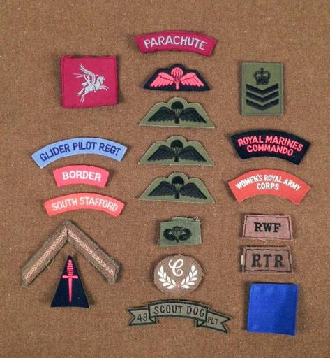 20 BRITISH MILITARY PATCHES-REG,, PARATROOPER,BORDER GD - Jul 16, 2013 ...