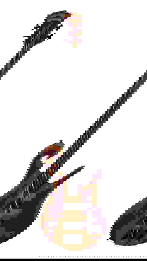 Jason Momoa | A Carl Thompson Bass Guitar Auction