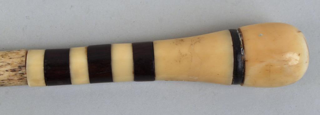 Whalebone and Baleen Cane - Feb 29, 2020 | Schwenke Auctioneers in CT