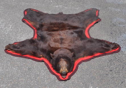Taxidermy Full Hide Black Bear Skin Rug