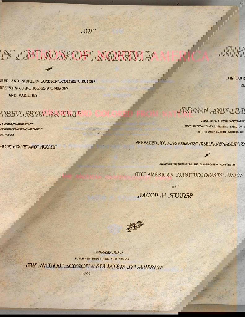 Jacob Studer, The Birds Of North America, 1903 Auction