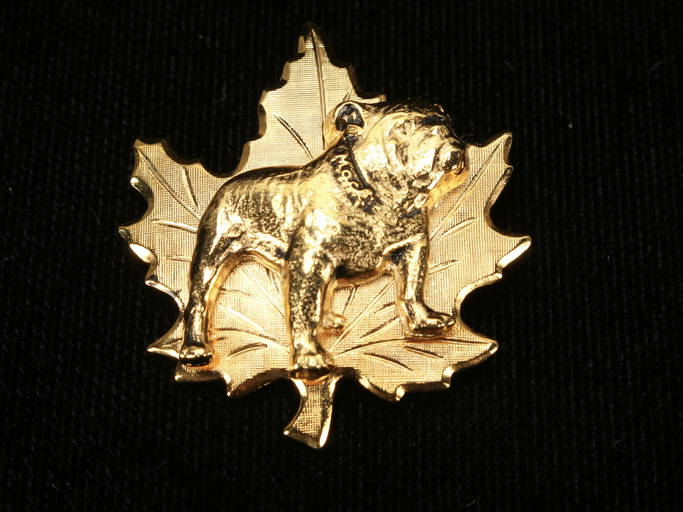 Mack Truck Bull Dog On Maple Leaf Pin