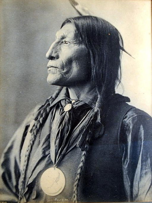 61: 'Chief Wolf Robe, Cheyenne' - Feb 13, 2010 | LOUIS J. DIANNI, LLC in FL