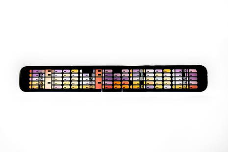 Star Trek: Voyager Lcars Panel Display Set