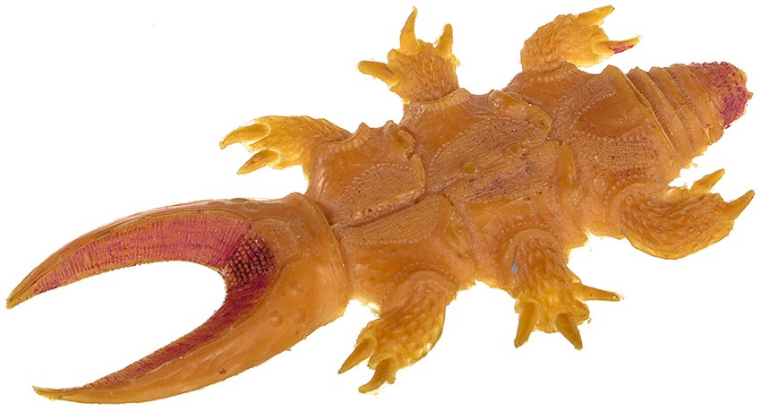 Star Trek: The Next Generation "Conspiracy" Alien - Mar 26, 2016 ...