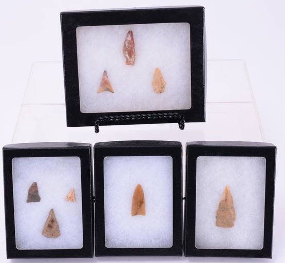 8 Arrowheads In 4 Riker Boxes