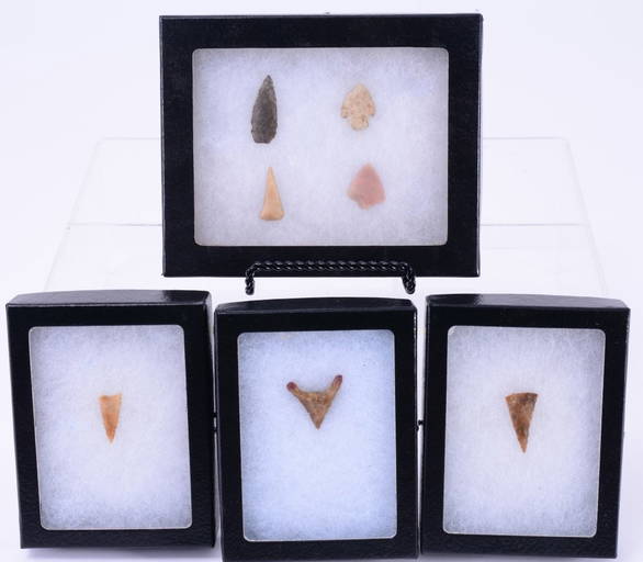 7 Bird Points In Ricker Boxes W/pins