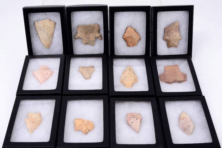 12 Field Points In Riker Mount Boxes W/pins