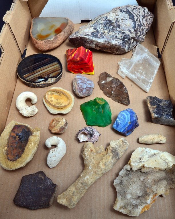 Small To Large Selection Of Specimens