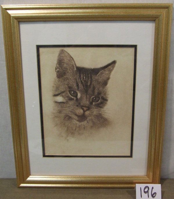 196: Peake the Chessie Cat Framed Print