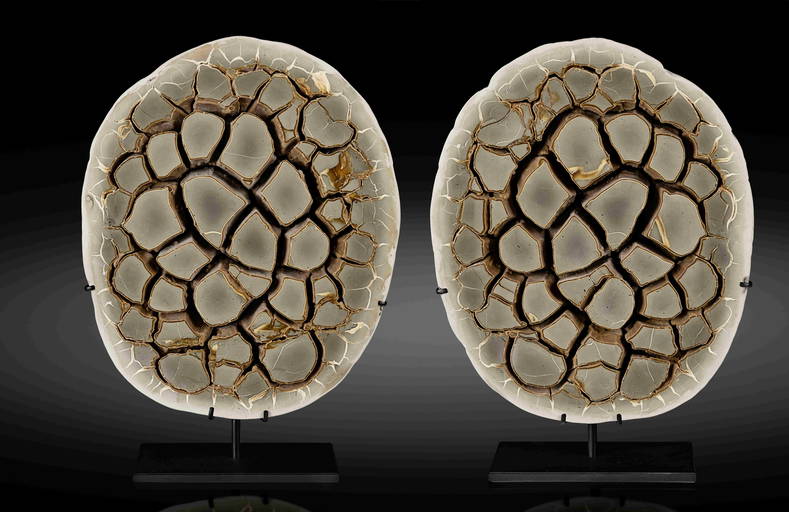 Grand nodule de septaria scindé en deux parties Large Septarian Nodule 'Split' (#0151) on Sep 21 ...