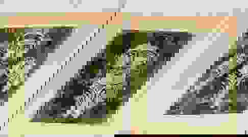 Fred Nagler (american, 1891-1983) Pair Of Unframed Woodblock Prints ...