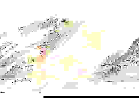 Sir Quentin Blake (british, Born 1932) An Audience Of Ducks (unframed ...