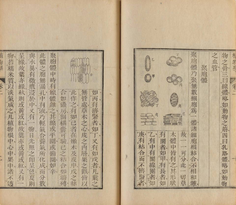 First Introduction Of Western Botany Into China And Japan. Li Shan-lan ...