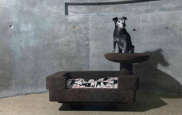 Le Cork Et Modular Dog By Lincoln Miles Architecture