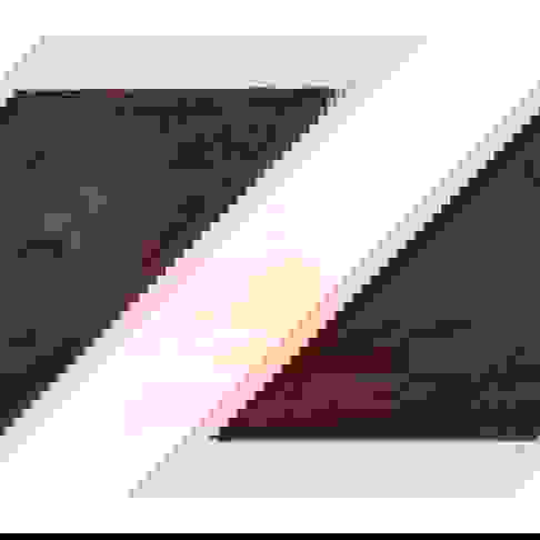 Nathan Oliveira (1928-2010); Woman Shaman; Auction