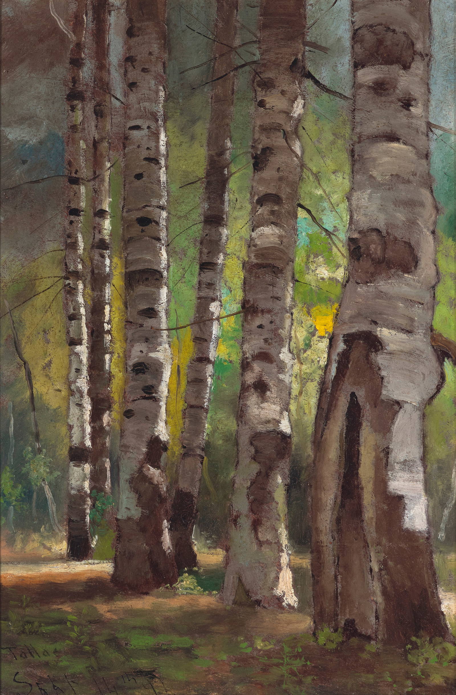 Edwin Deakin (1838-1923) Tallac (aspens Near Fallen Leaf Lake) 12 X 8 ...