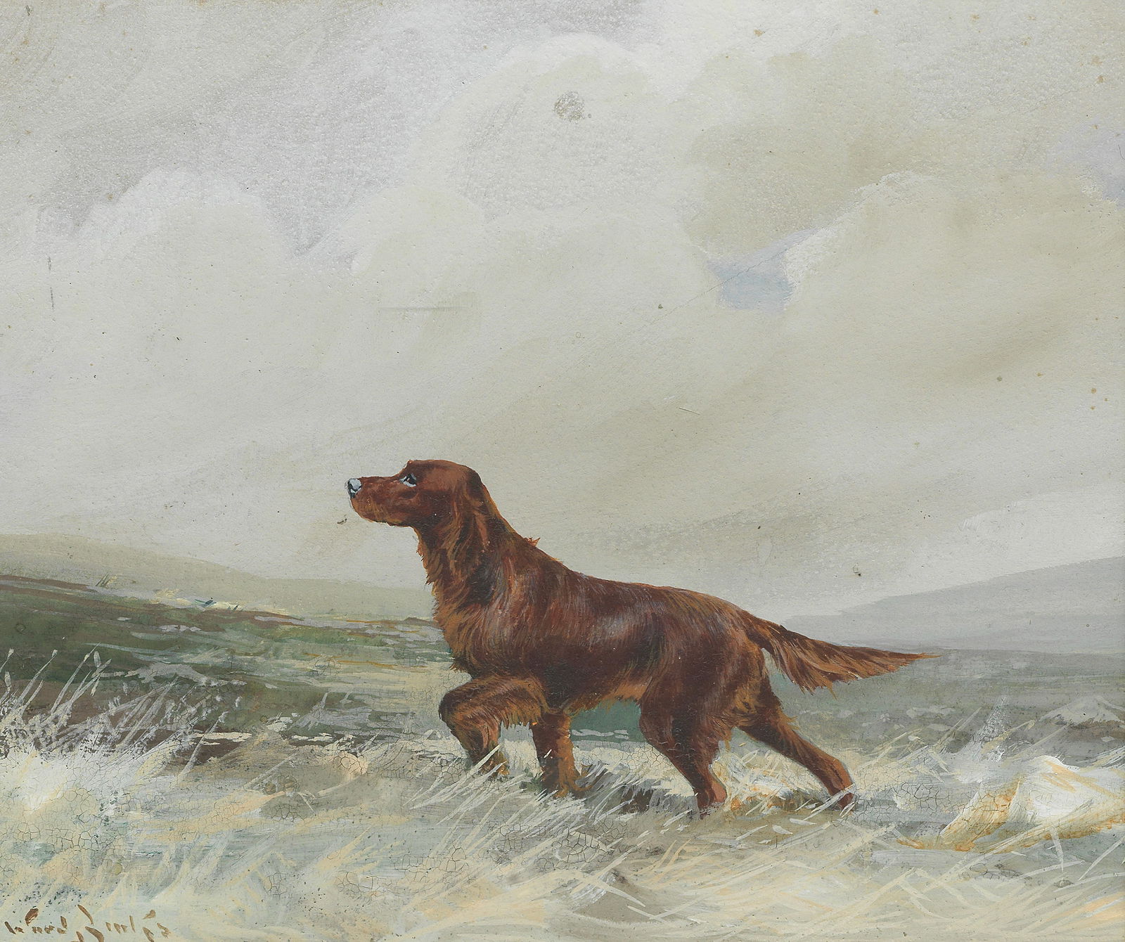 Reuben Ward Binks (british, 1880-1950) A Red Setter Auction