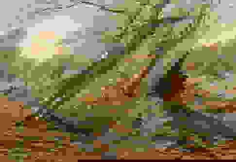 Andrew Maccallum (british, 1821-1902) Spring - The Outskirts Of Burnham ...