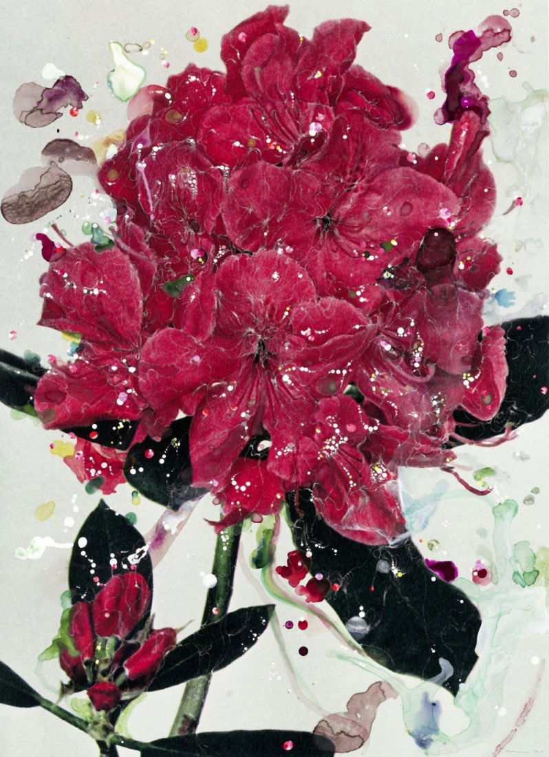 Sebastiaan Bremer (born 1970); Rhododendron Hybrid Peter Koster; Auction