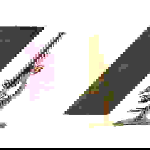 Cased Zentmayer's U.s. Army Hospital Microscope, Auction