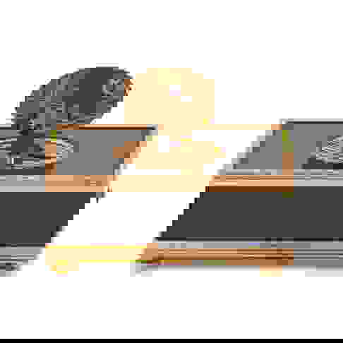 Swiss Singing Bird Automaton Box, Auction