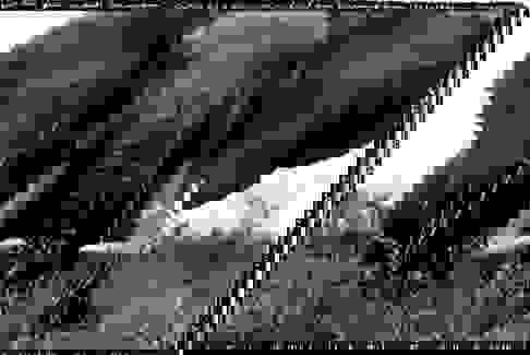 Peter Beard (1938-2020); 'large Tusker On The Athi-tiva In Tsavo ...