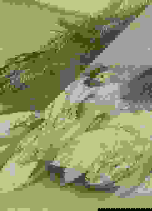 Vincenzo Galdi (1856-1931) Untitled (male Nude Reclining) Auction