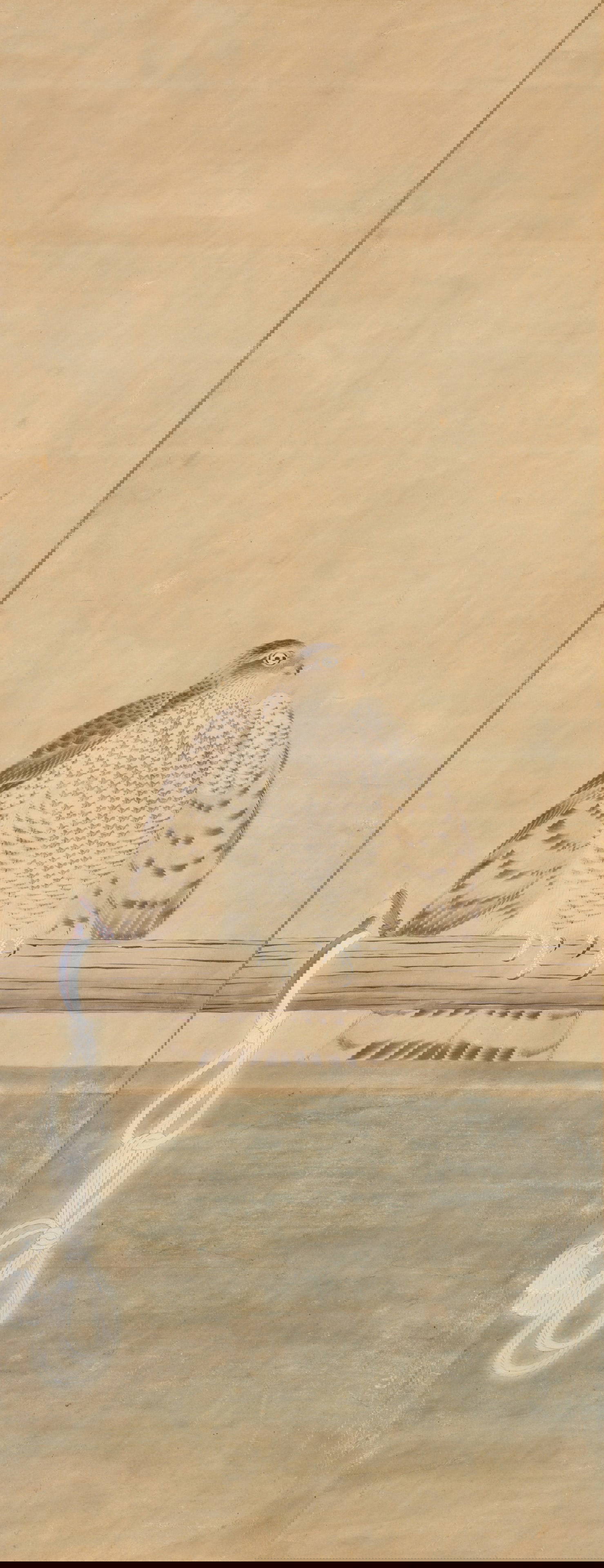 Anonymous Falcon Tethered To A Perch Edo Period (1615-1868), 17th/18th ...