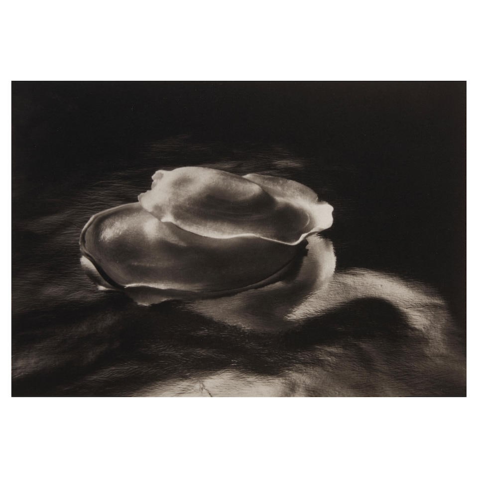 Ruth Bernhard (1905 2006); Candy, From Gift Of The Commonplace;
