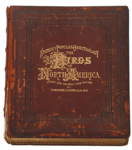 Jacob Studer Birds Of North America Book