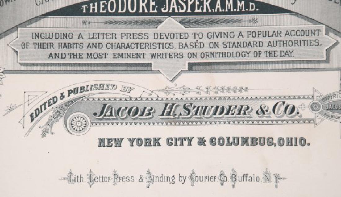 Jacob Studer - Birds Of North America Book