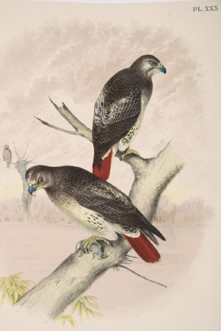 Jacob Studer - Birds Of North America Book