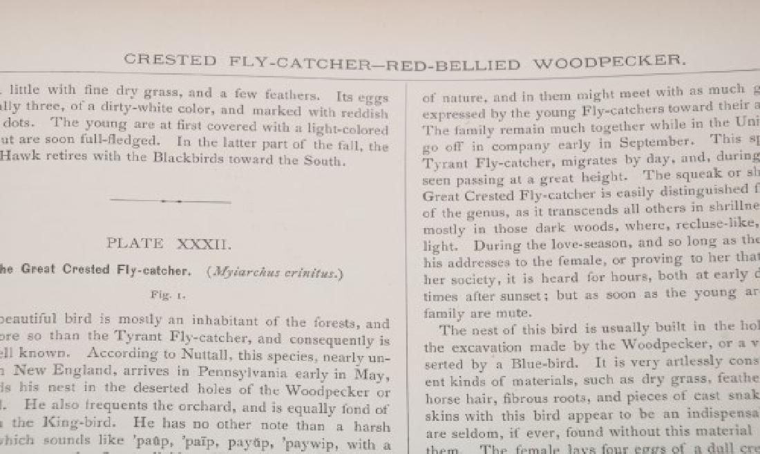 Jacob Studer - Birds Of North America Book