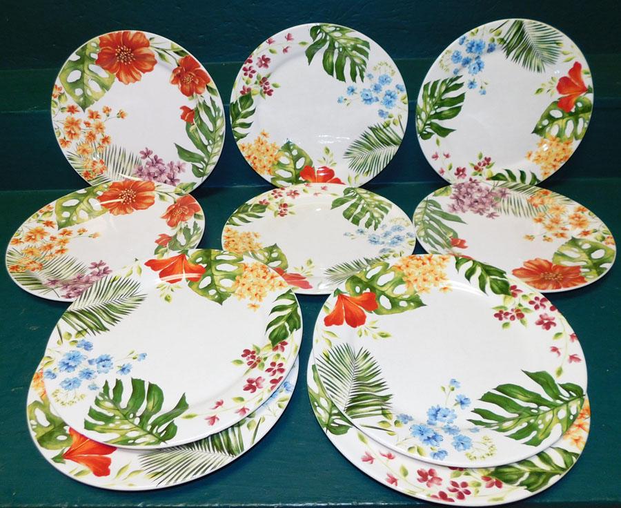 10 Ironstone Paint Decorated Plates