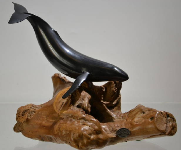 John Perry Humpback Whale