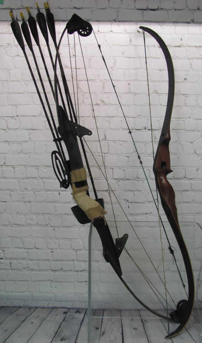 Compound and Recurve Bows