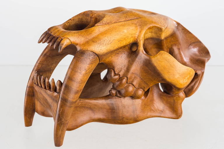 Hand Carved Wooden Sabre Tooth Tiger Skull