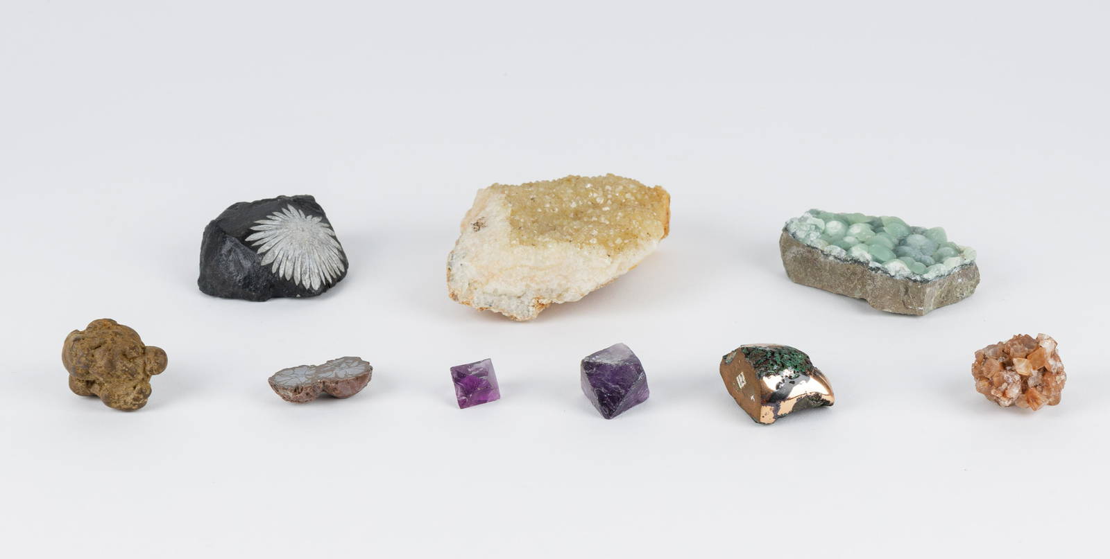 Fossil & Mineral Specimens Auction